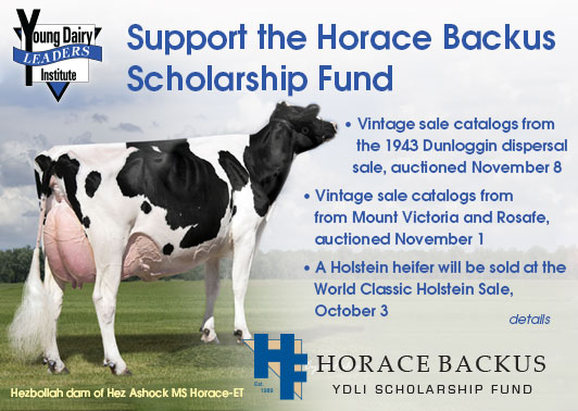 Welcome to the Holstein Foundation